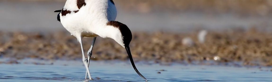 Room Only During Low Season - Spurwing Guest House